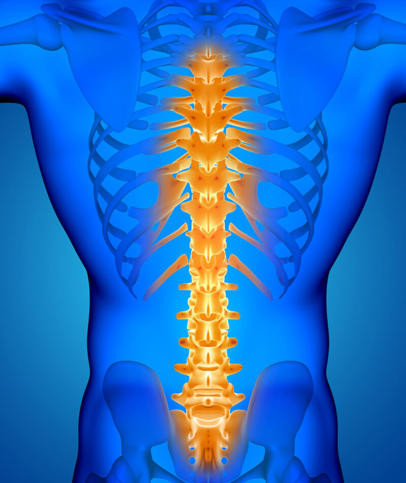 India’s Leading Endoscopic Spine Surgery Centre | Sattvik Spine | Spine ...